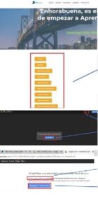 Conoce Viva Lingua – Contenido, Instalación y activación - Publicaciones Interactivas